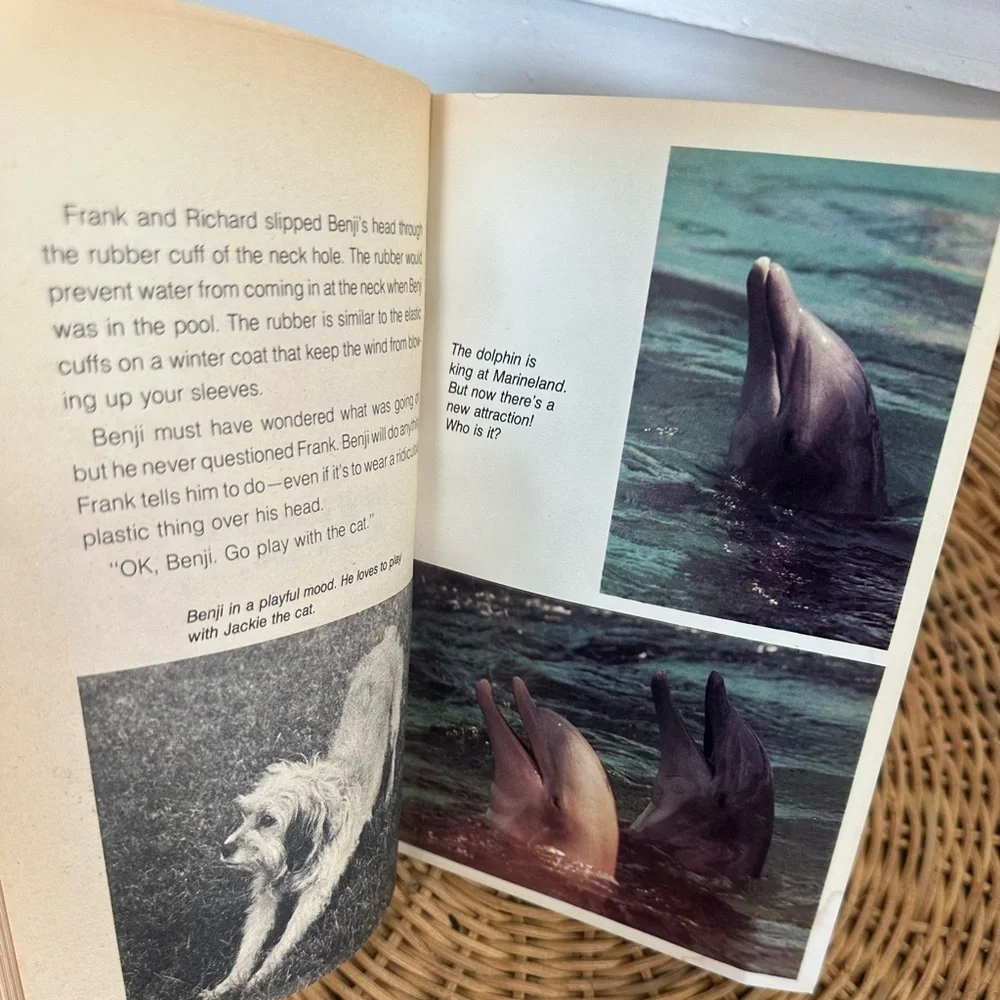Other | Vintage Childrens Book Beni Takes A Dive At Marineland Book ...